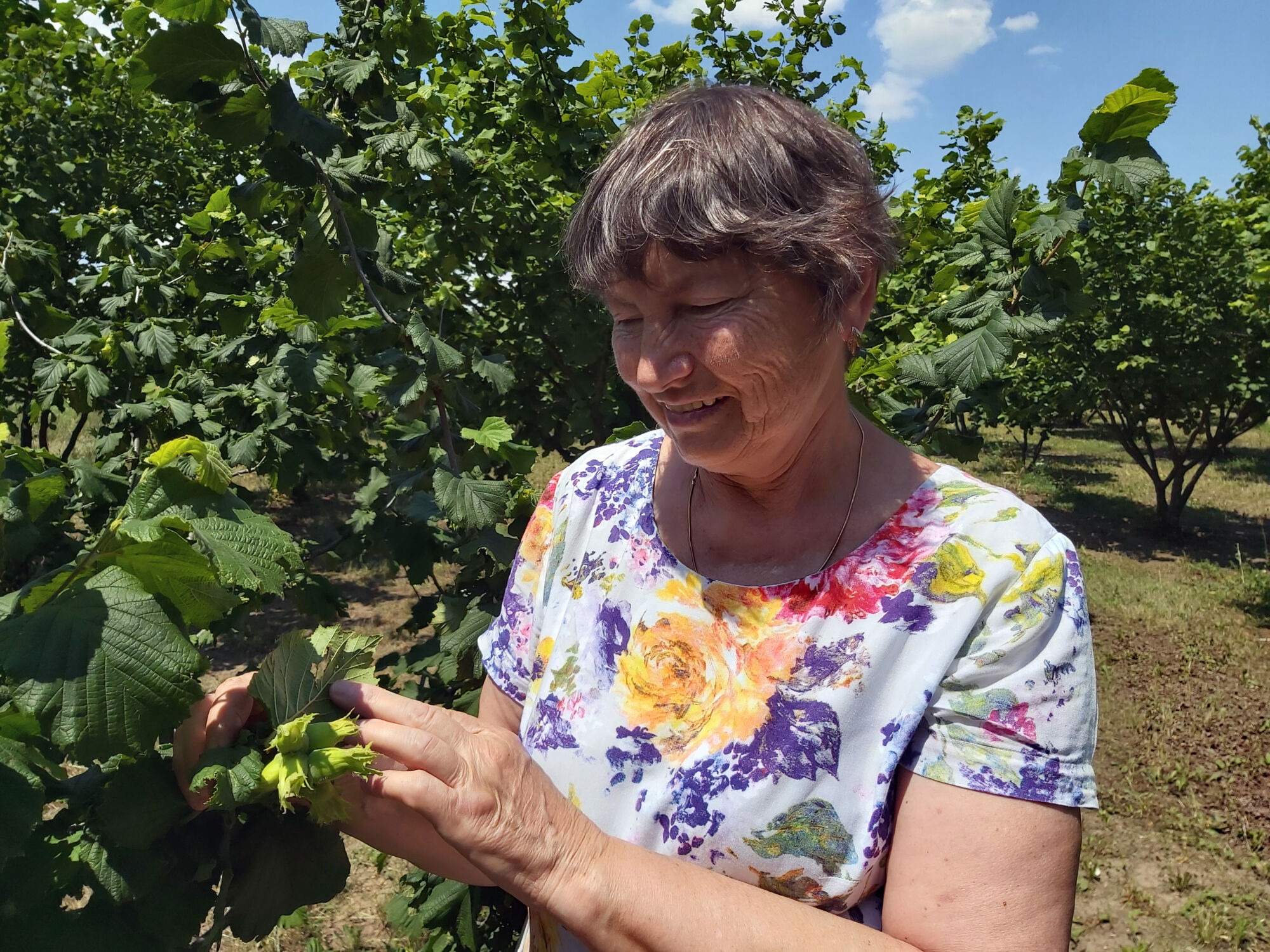 Veteran farmers with pioneering spirit are pushing for progress ...
