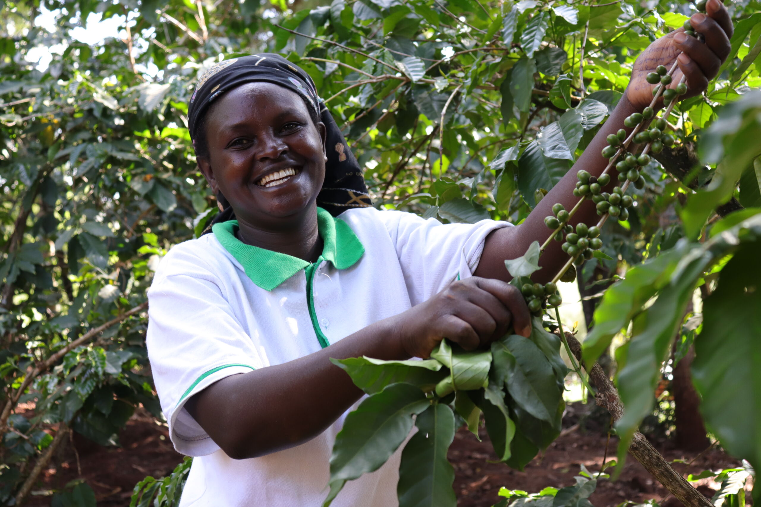 The future of coffee is female - WeEffect Global