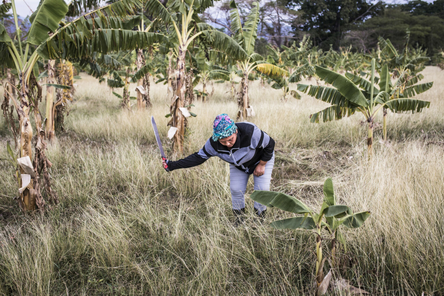 Land rights - WeEffect Global
