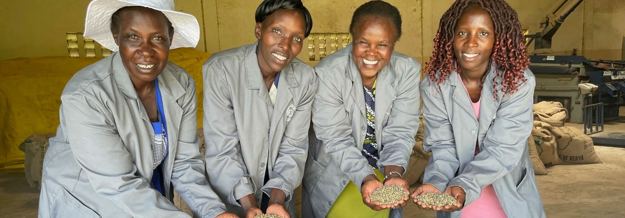 Coffee farms give Kipkelion women financial freedom - WeEffect Global