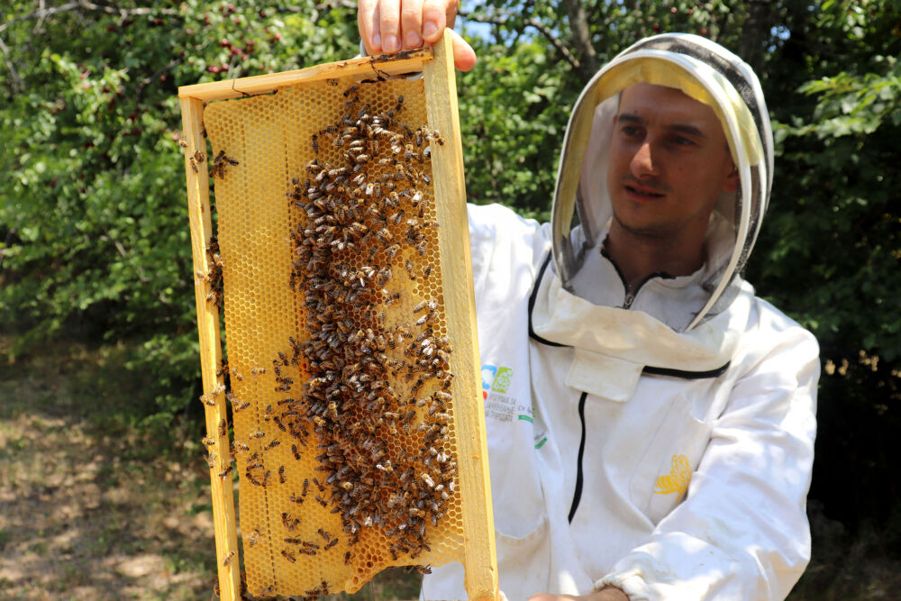 Lazo’s art of beekeeping – the sustainable way - WeEffect Global