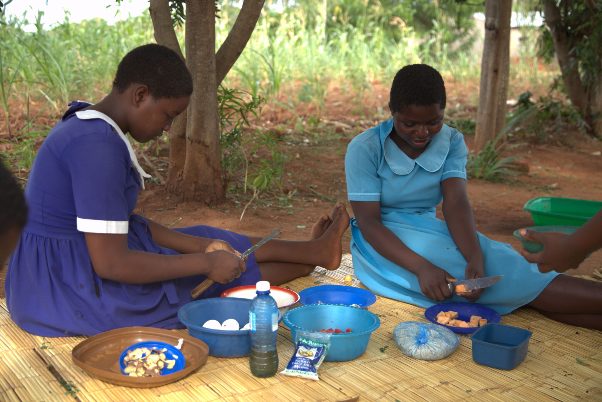 Malawian Youth Empowered Through Food Education and Sustainability ...